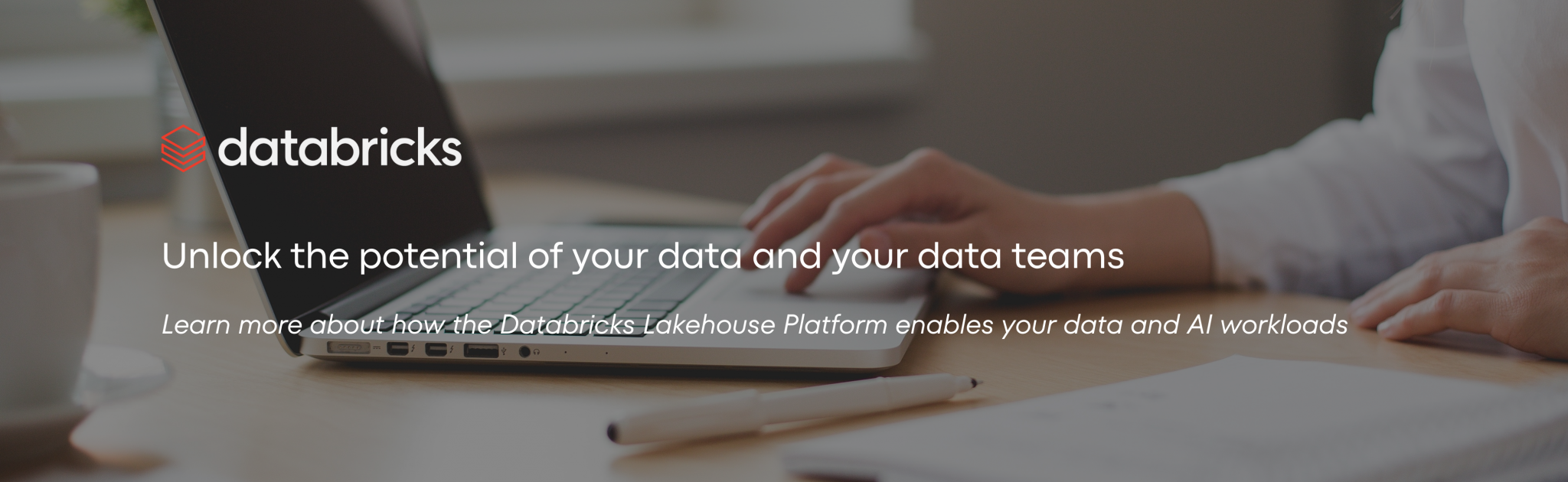 Databricks - Business Applications Co.,Ltd.