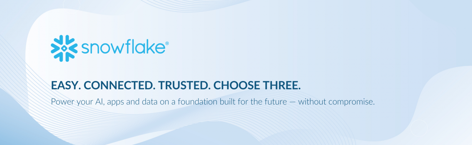 Snowflake - Business Applications Co.,Ltd.